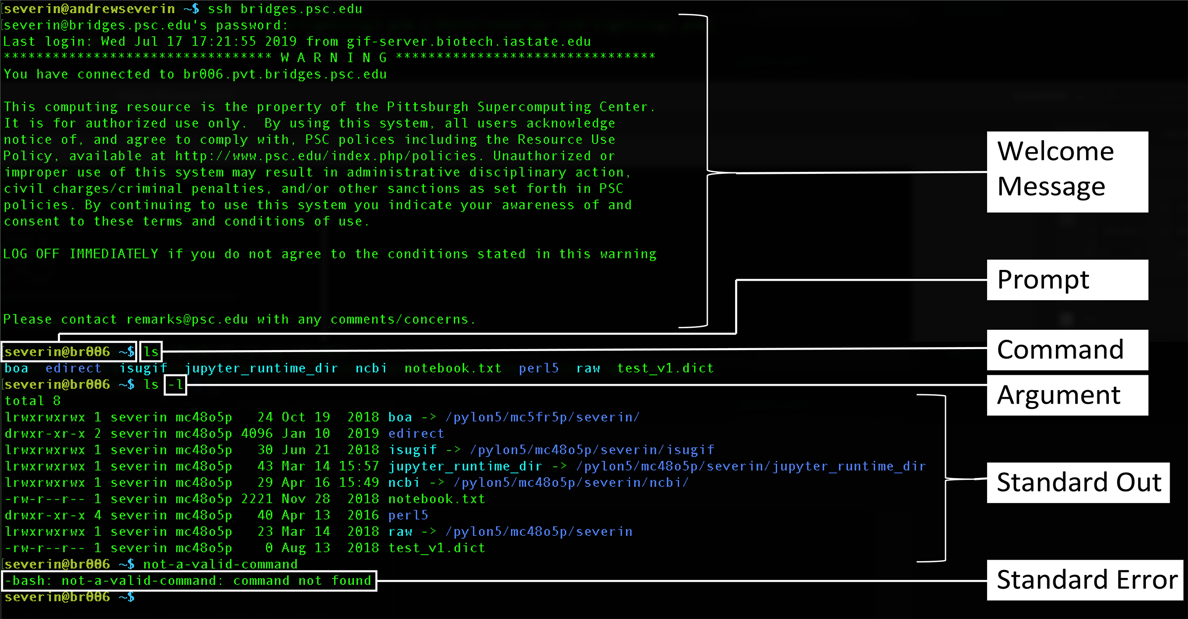 Getting started with UNIX + video + exercises - Data Science Workbook