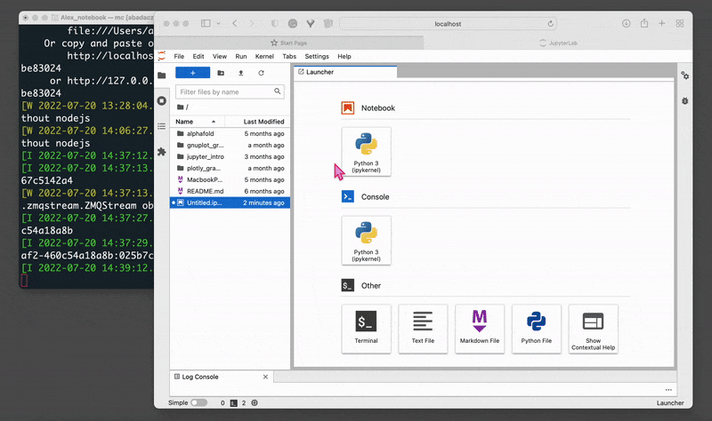 Getting started with JupyterLab on a local machine - Data Science Workbook