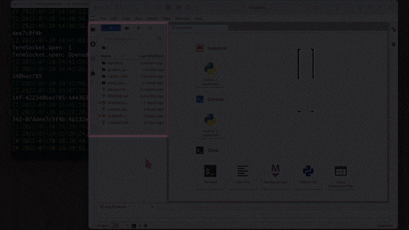 Getting started with JupyterLab on a local machine - Data Science Workbook