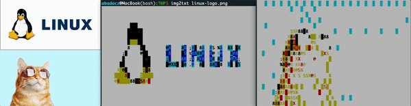 Viewing graphics in a terminal as the text-based ASCII art - Data ...