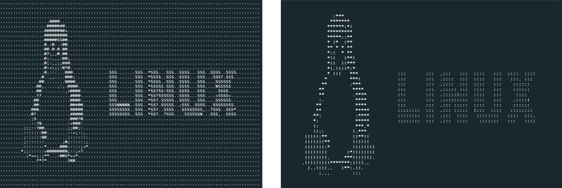 Viewing graphics in a terminal as the text-based ASCII art - Data ...