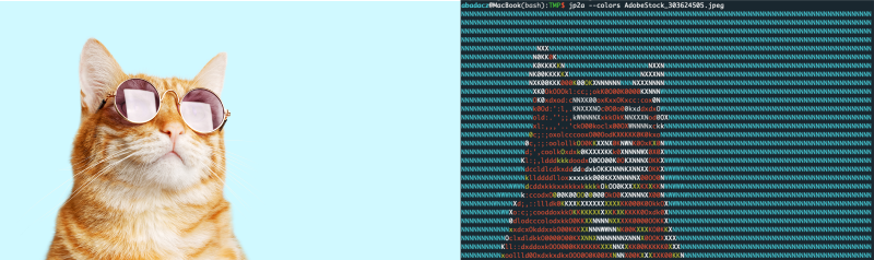 Viewing graphics in a terminal as the text-based ASCII art - Data ...