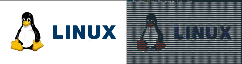 Viewing graphics in a terminal as the text-based ASCII art - Data ...