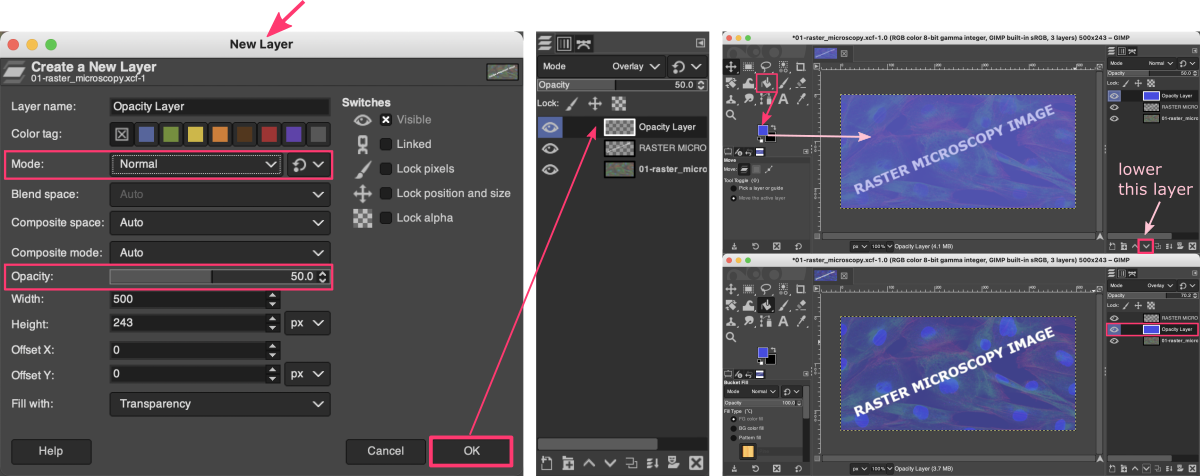 Raster graphics tools - Data Science Workbook
