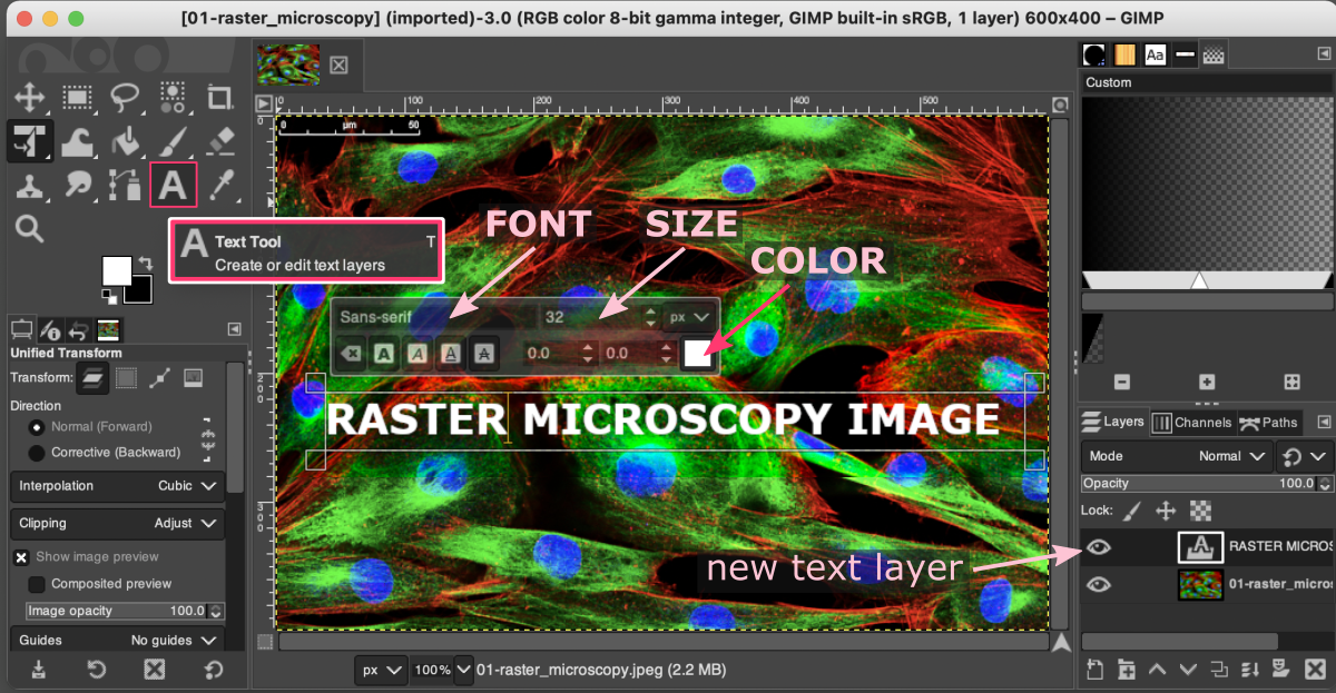 Raster graphics tools - Data Science Workbook