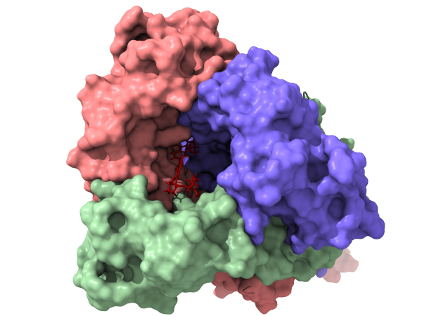 Raster graphics tools - Data Science Workbook