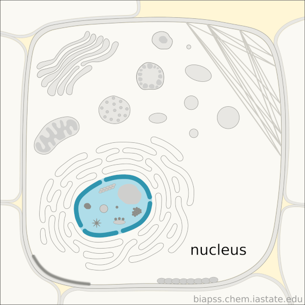 Vector graphics tools - Data Science Workbook